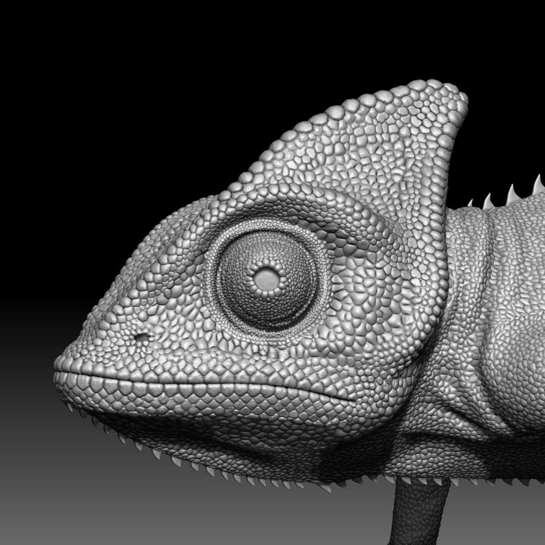 Fotorealistisches Chamäleon 3D-Model mit Animation